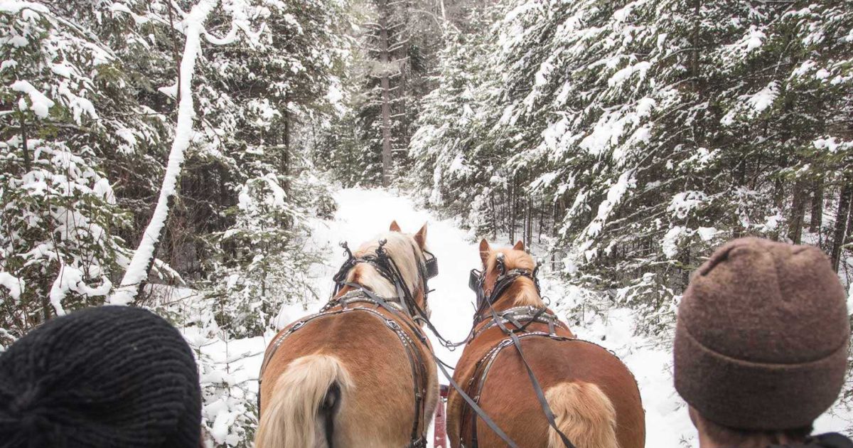 Falcon Beach Ranch | Travel Manitoba