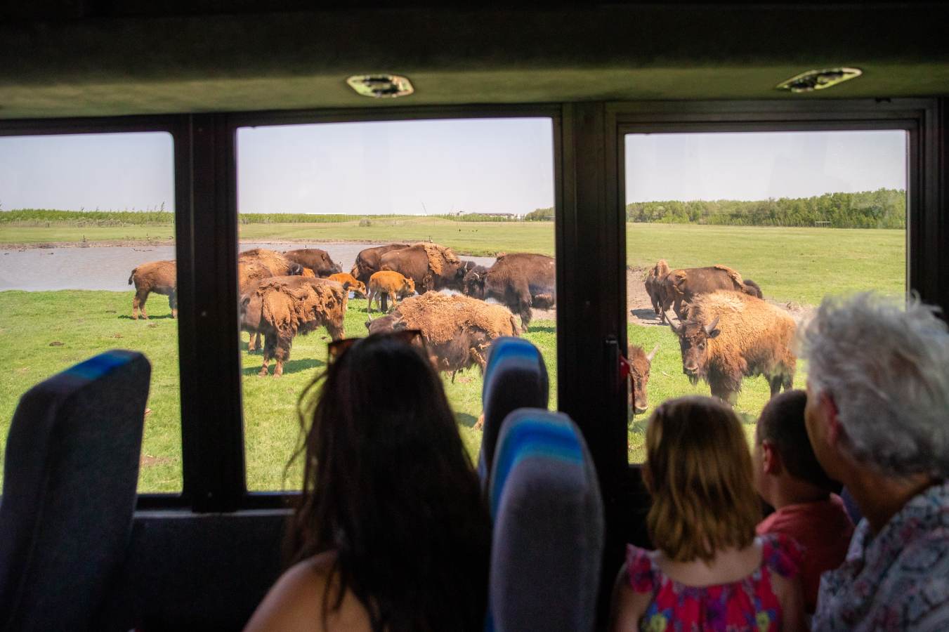 FortWhyte Alive | Travel Manitoba