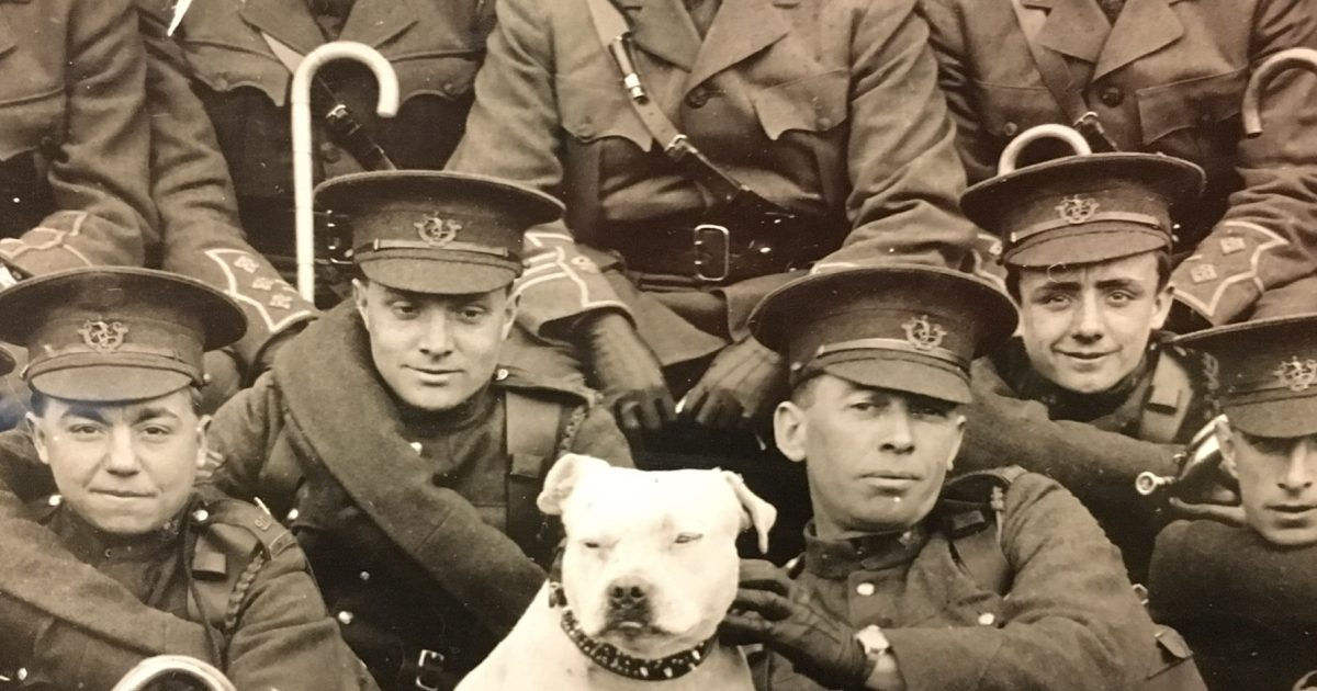 Royal Winnipeg Rifles Regimental Museum | Travel Manitoba