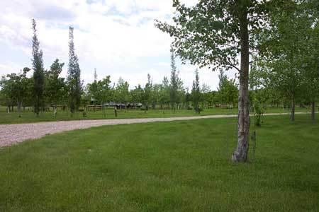 Pembina Valley Centennial Park | Travel Manitoba