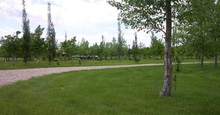 Pembina Valley Centennial Park | Travel Manitoba