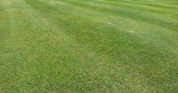 Pilot Mound Town & Country Club | Travel Manitoba
