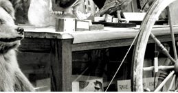 Sam Waller Museum (PHS) | Travel Manitoba