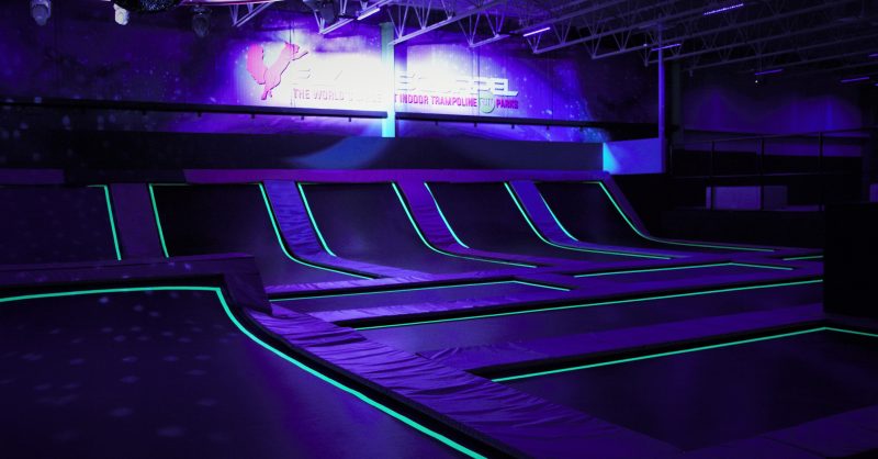 flying squirrel ottawa