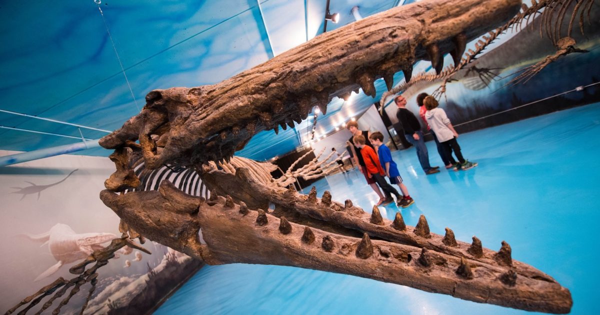 Musées | Choses à faire | Voyage au Manitoba