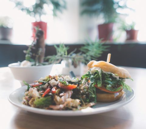 Travel Media & Content Creators | Travel Manitoba