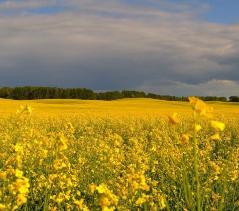 Discover New Experiences in Manitoba | #ExploreMB | Travel Manitoba