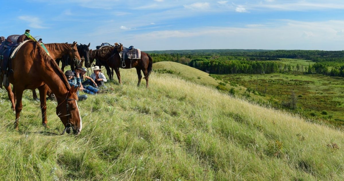 Horseback Riding | Things To Do | Travel Manitoba