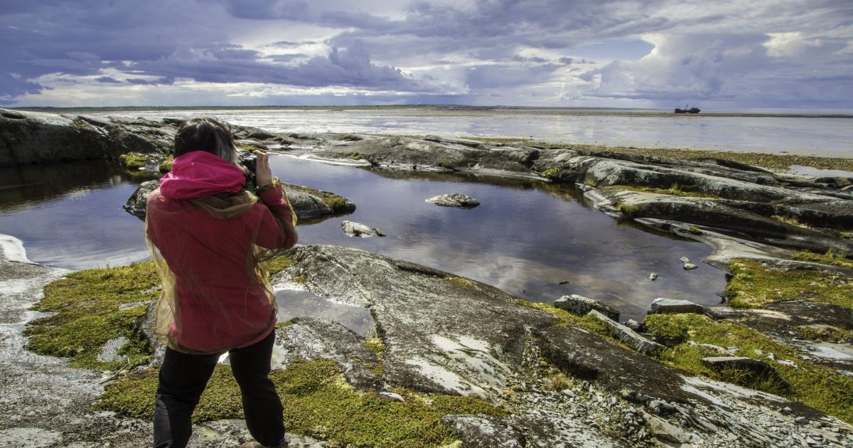 Everything Churchill: See Polar Bears, Belugas, Northern Lights & More ...