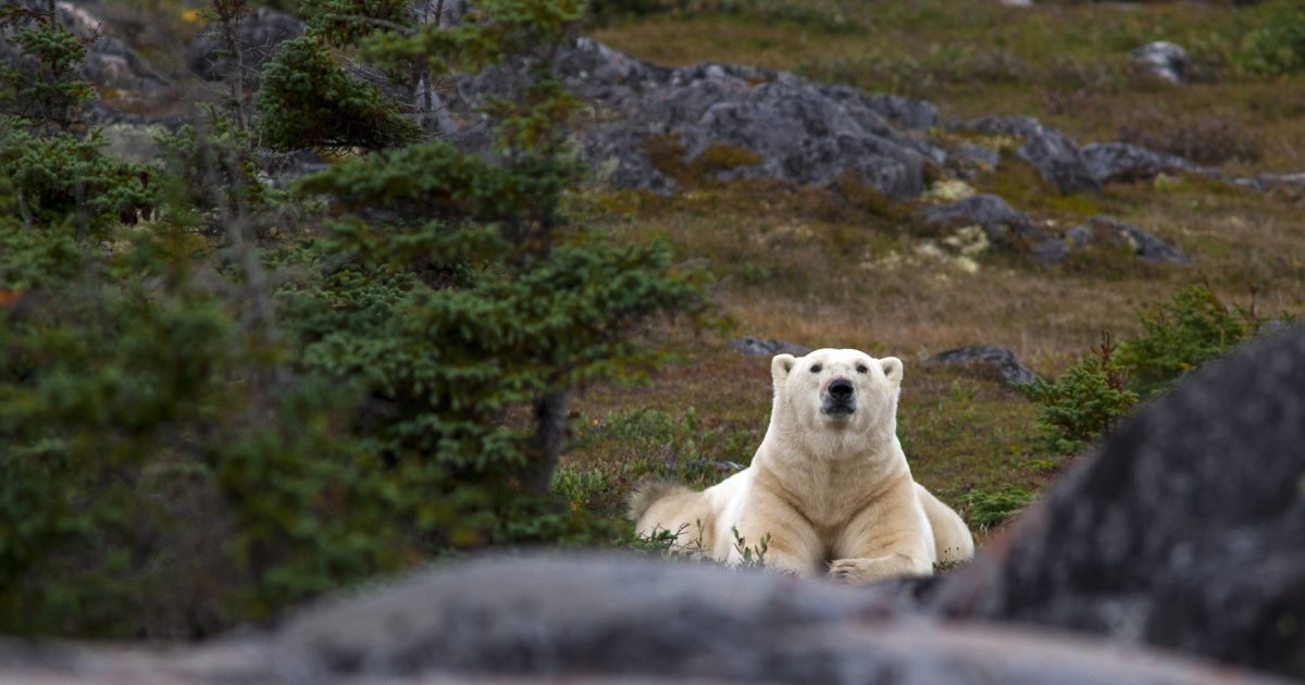 About Manitoba | Trip Essentials | Travel Manitoba