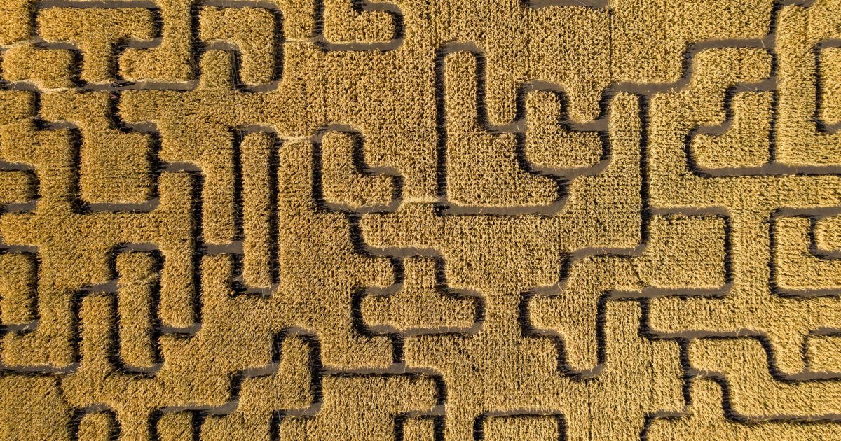 5 Manitoba Corn Mazes to Get Lost in This Fall | Travel Manitoba