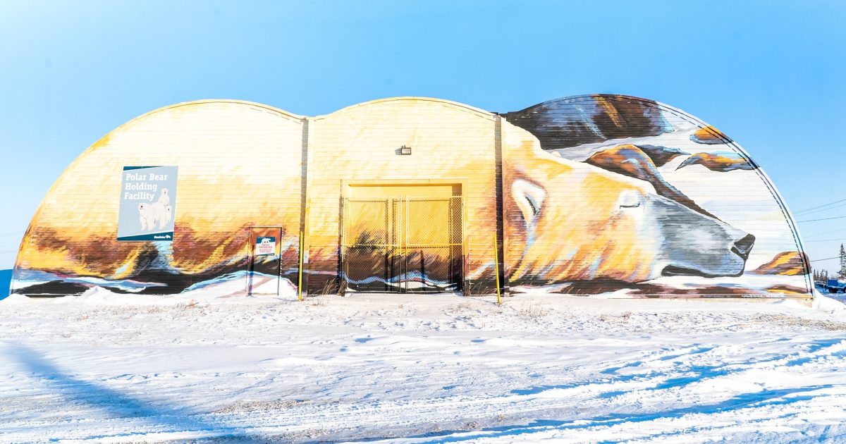 About Churchill | Everything Churchill | Travel Manitoba