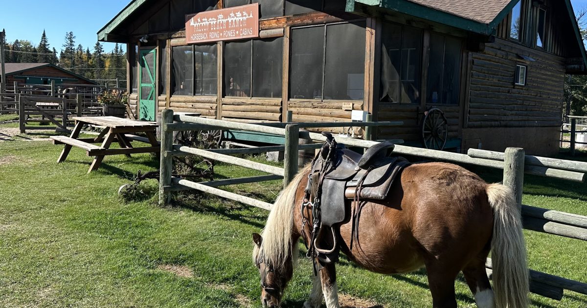 Falcon Beach Ranch Therapy | Travel Manitoba