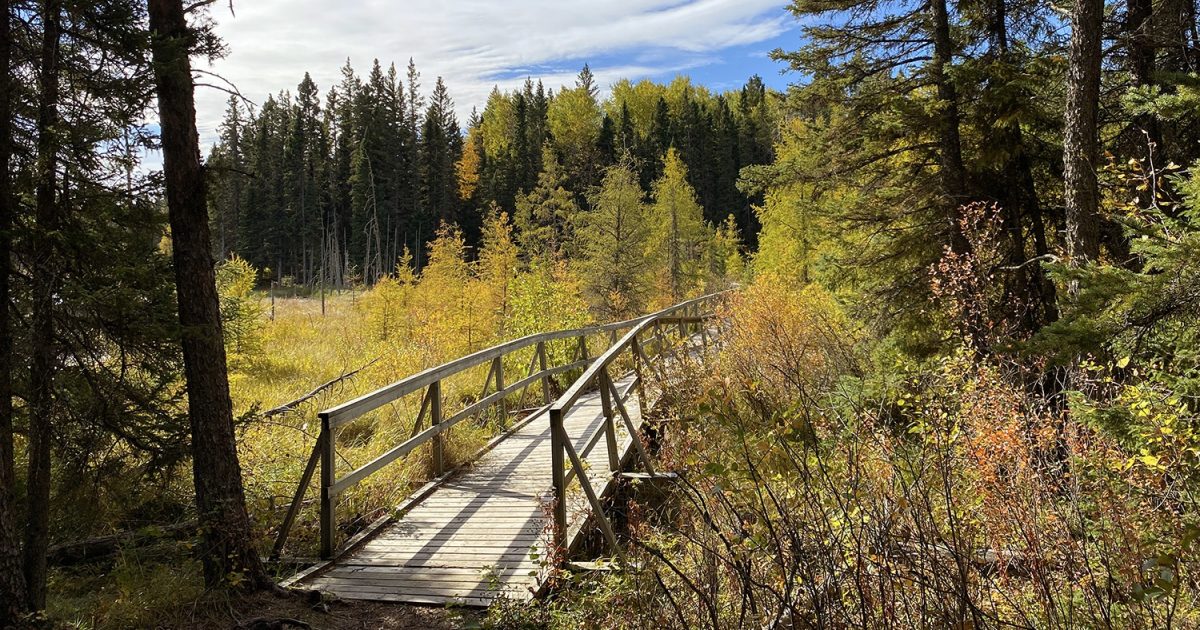 Seeking the Beauty of Fall? Spend the Weekend in Riding Mountain ...