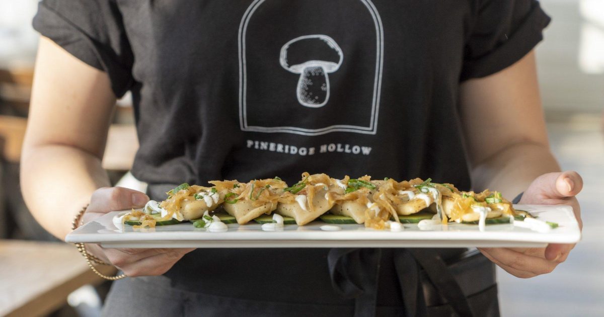 News Release: Manitoba Perogy Trail Reaches 1,000 Check-ins; Donation ...