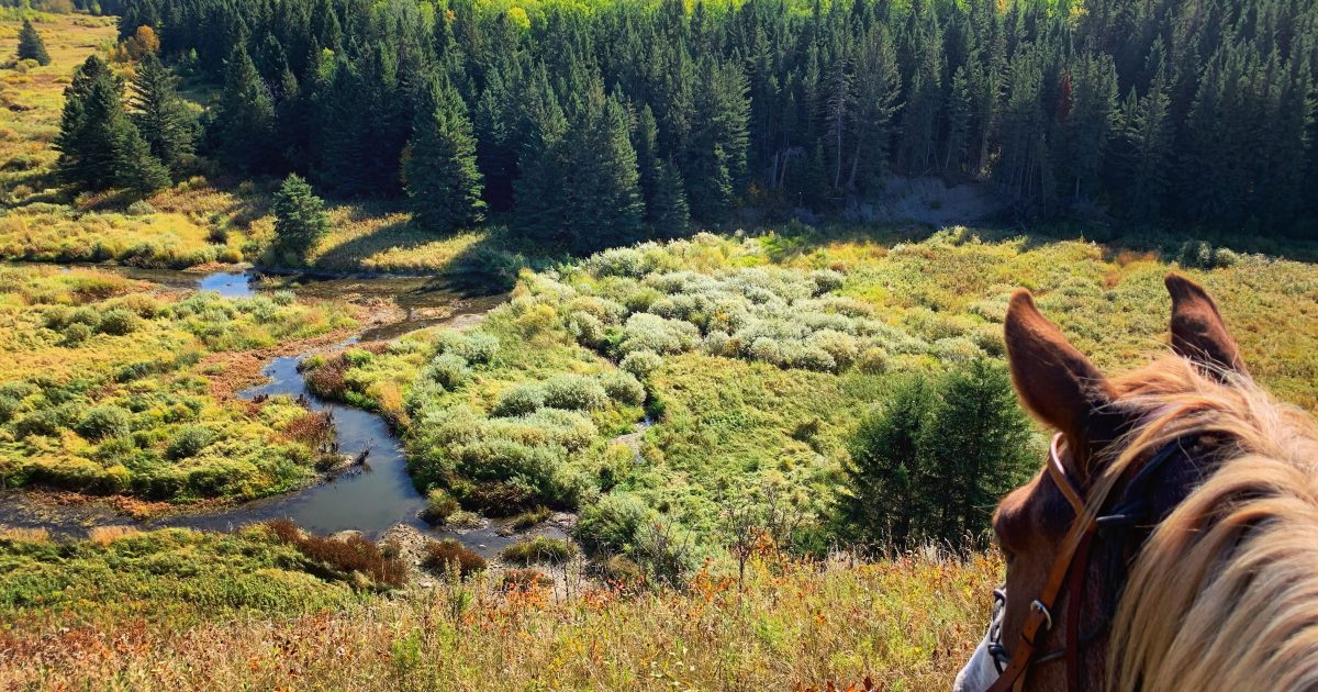 Manitoba Road Trips: Perfectly Parkland | Travel Manitoba