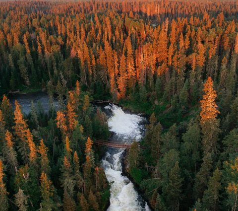 Discover New Experiences in Manitoba | #ExploreMB | Travel Manitoba