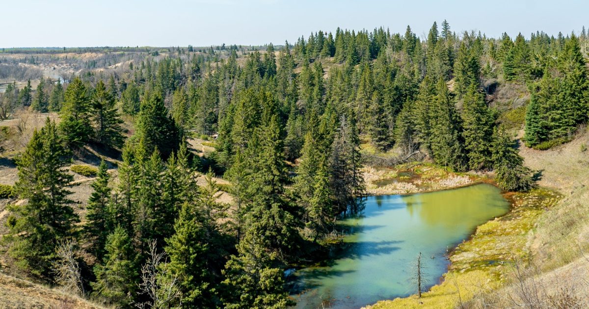 10 gorgeous places to camp this summer in Manitoba | Travel Manitoba