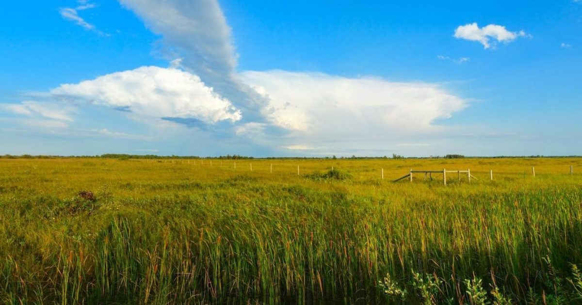 Manitoba Road Trips: Vive Les Prairies! | Travel Manitoba