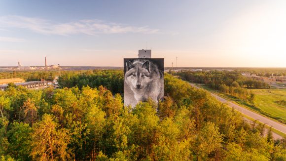 50 Things to Do This Fall in Manitoba | Travel Manitoba